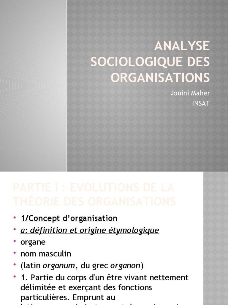 Analyse Sociologique Des Organisations | PDF | Direction | Motivation