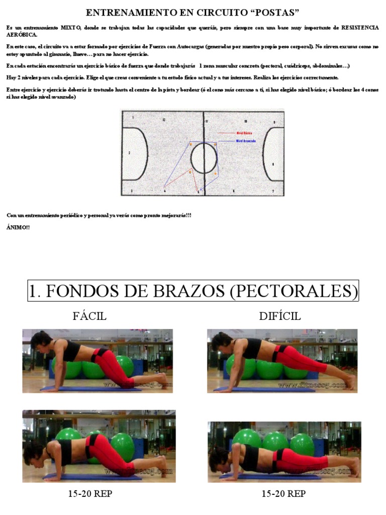 ENTRENAMIENTO EN CIRCUITO (Autocargas) | PDF | Ciencia y matemáticas