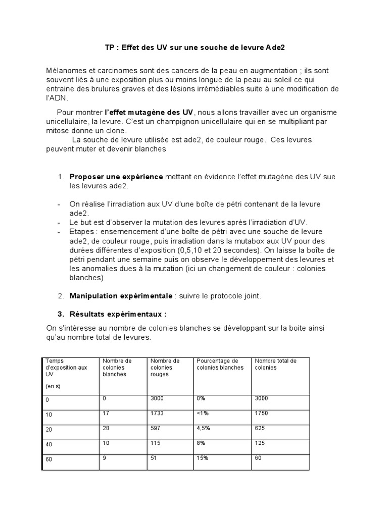 Effet des UV sur les levures Ade2 | PDF | Gène | Protéines