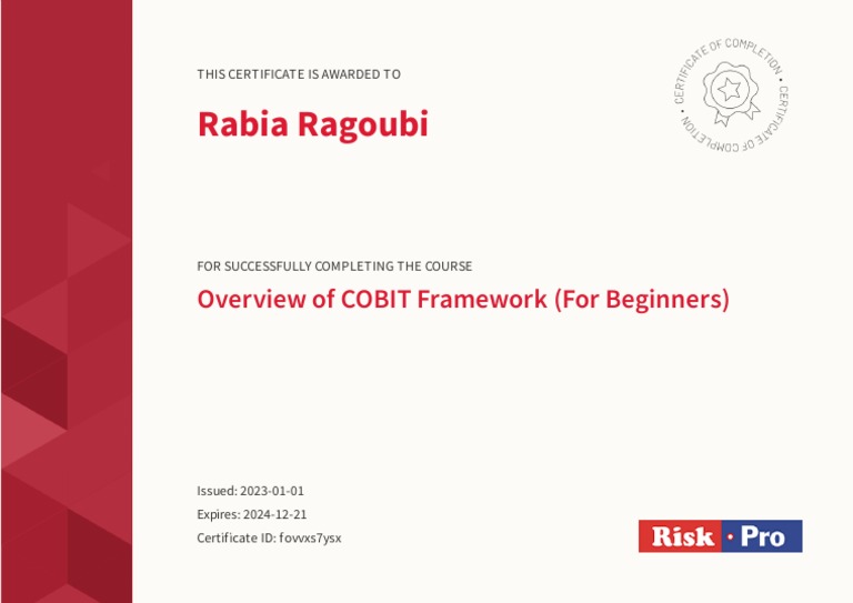 Overview of COBIT Framework | PDF