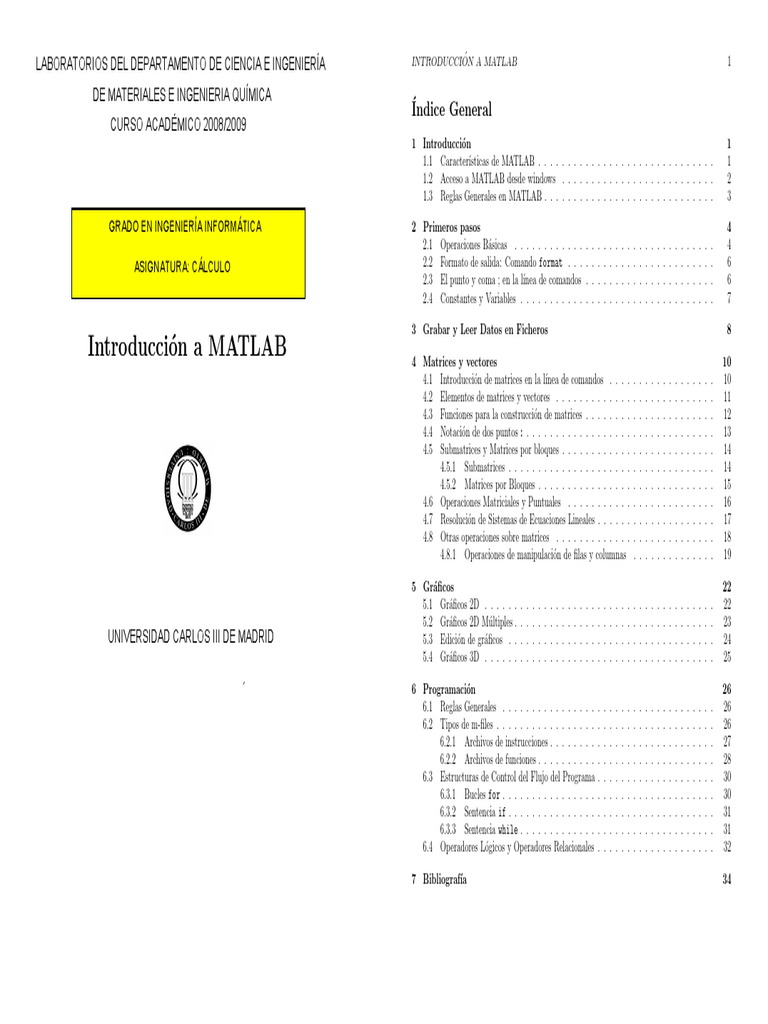 Curso Introductorio de Matlab | PDF | Matriz (Matemáticas) | Álgebra