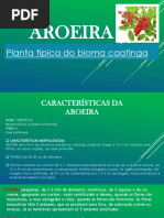 AROEIRA | PDF