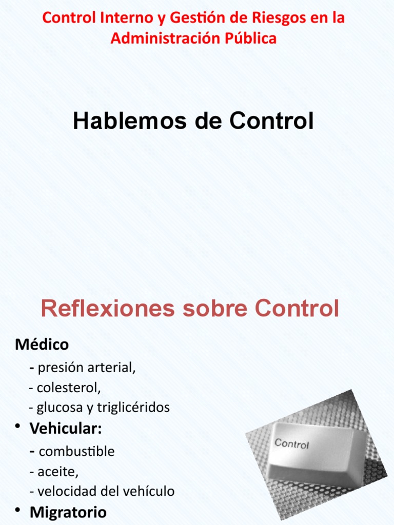 Sistema de Control Interno | PDF | Riesgo | Administración Pública
