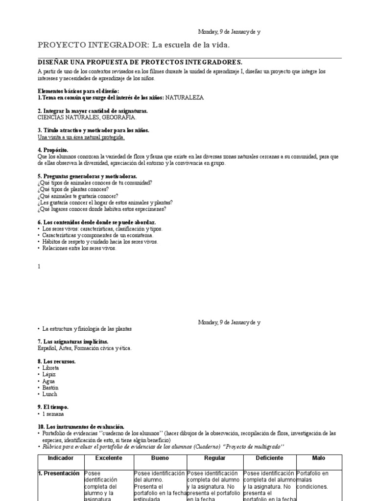 Proyecto Integrador | PDF | Aprendizaje | Cognición