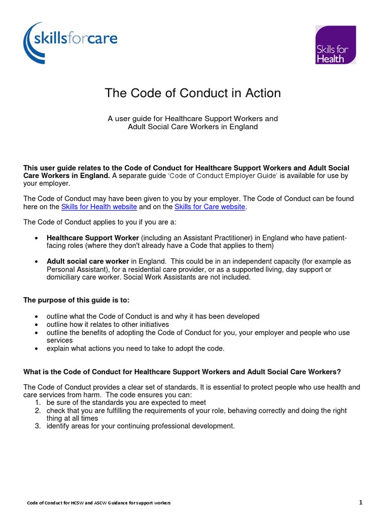 Guidance On The Code of Conduct For Support Workers | PDF | Health Care ...