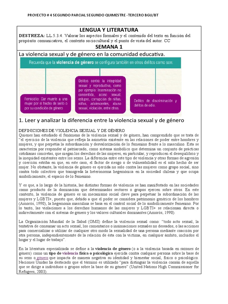 Proyecto 4 3ro Bgu-Bt | PDF | Violencia | Género