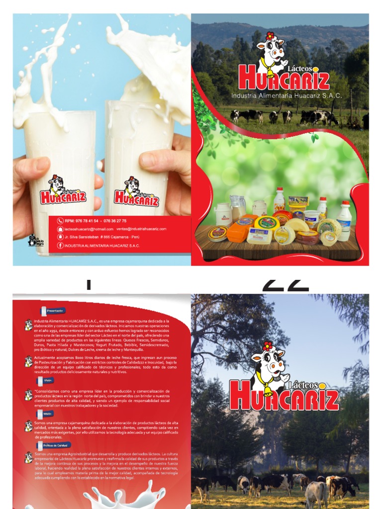 Catálogo | PDF | Queso | Leche