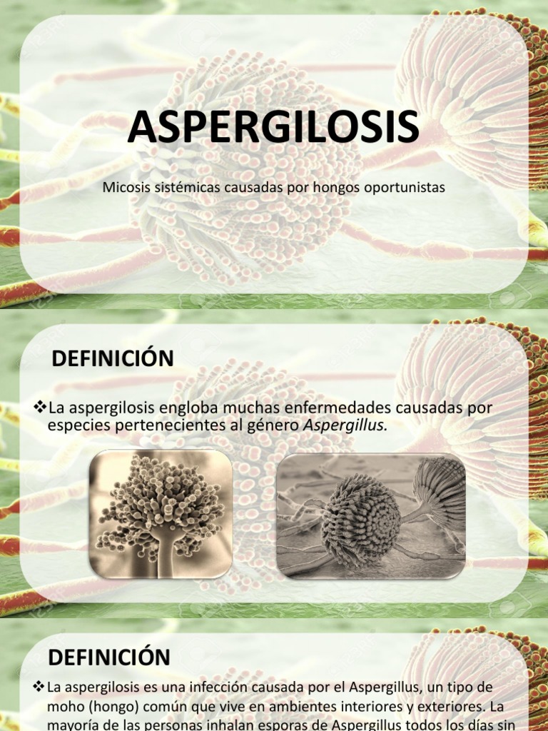 Aspergilosis | PDF | Aspergilo | Alergia