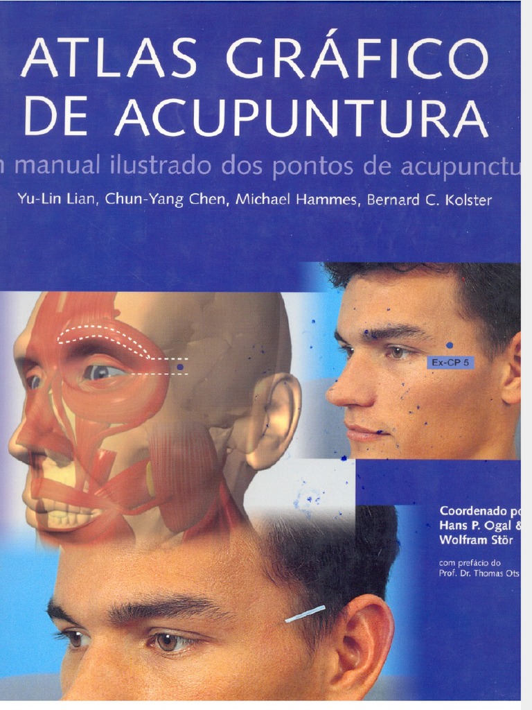 Atlas Grafico de Acupuntura Seirin | PDF | Acupuntura | Meridiano ...