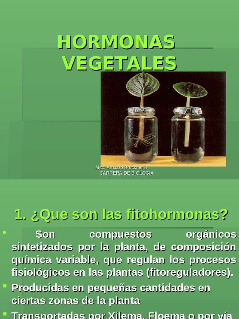 Hormonas | PDF | Hormona Vegetal | Auxina