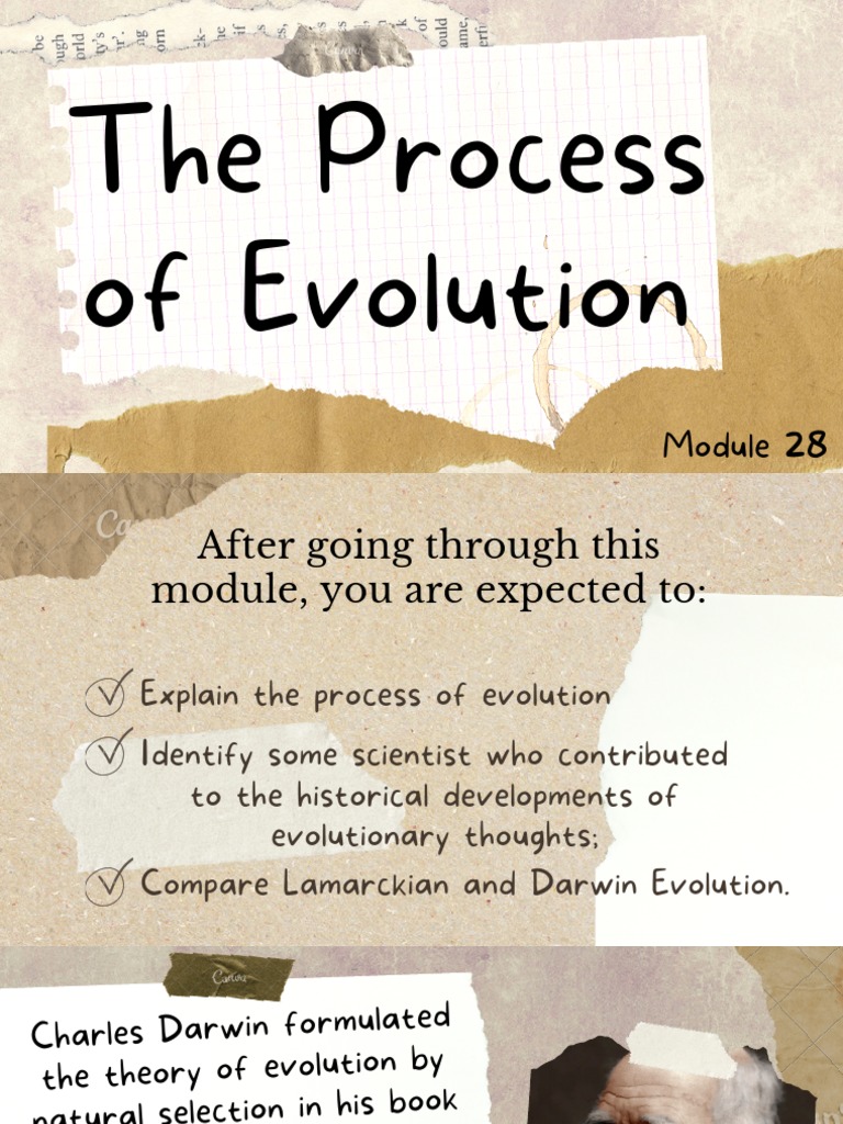 Earth and Life Science Module 28 | PDF | Evolution | Natural Selection
