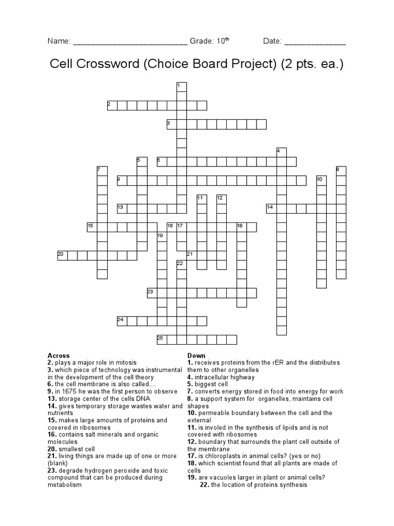 Cell Crossword | PDF | Cell (Biology) | Endoplasmic Reticulum