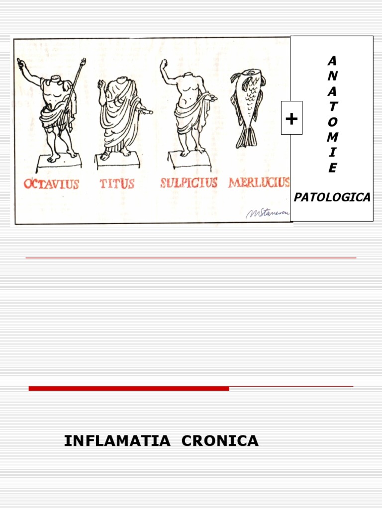 Inflamatia - Partea A II-A | PDF | Medical Specialties | Diseases And ...