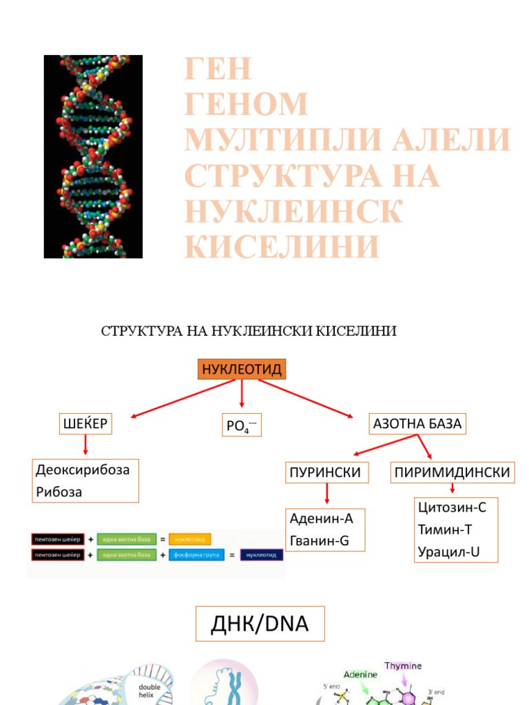 ГЕН 3 | PDF