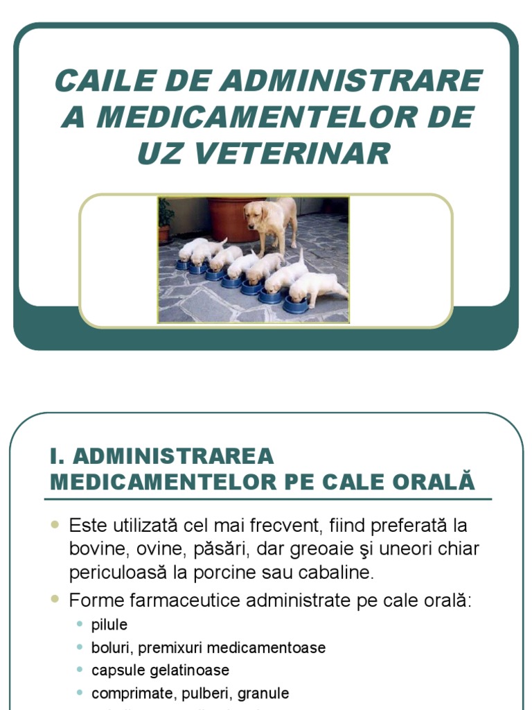 Cai de Administrare A Medicamentelor Veterinare | PDF
