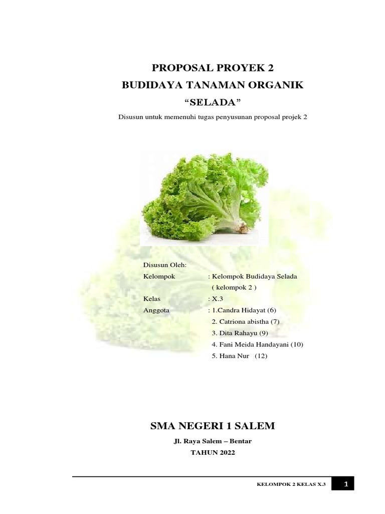 Format Proposal Dan Laporan Proyek | PDF