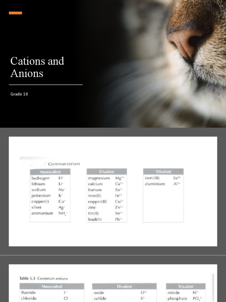 Cations and Anions | PDF