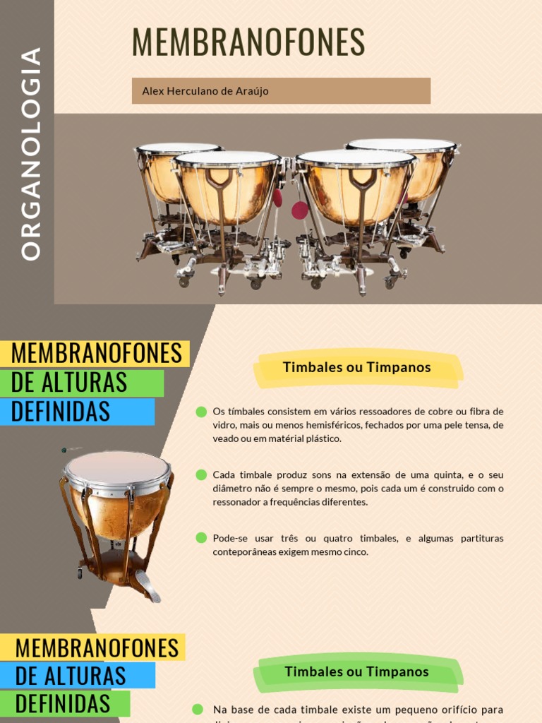 Membranofones | PDF | Instrumentos de percussão | Instrumentos musicais