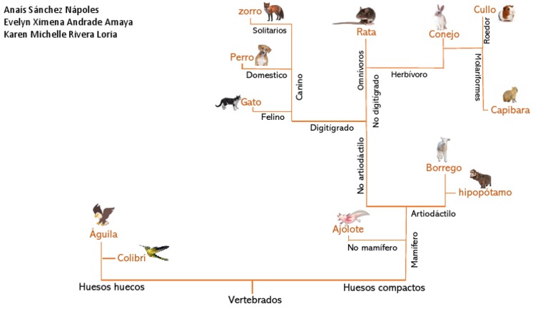 Cladograma de Seres Vivos | PDF
