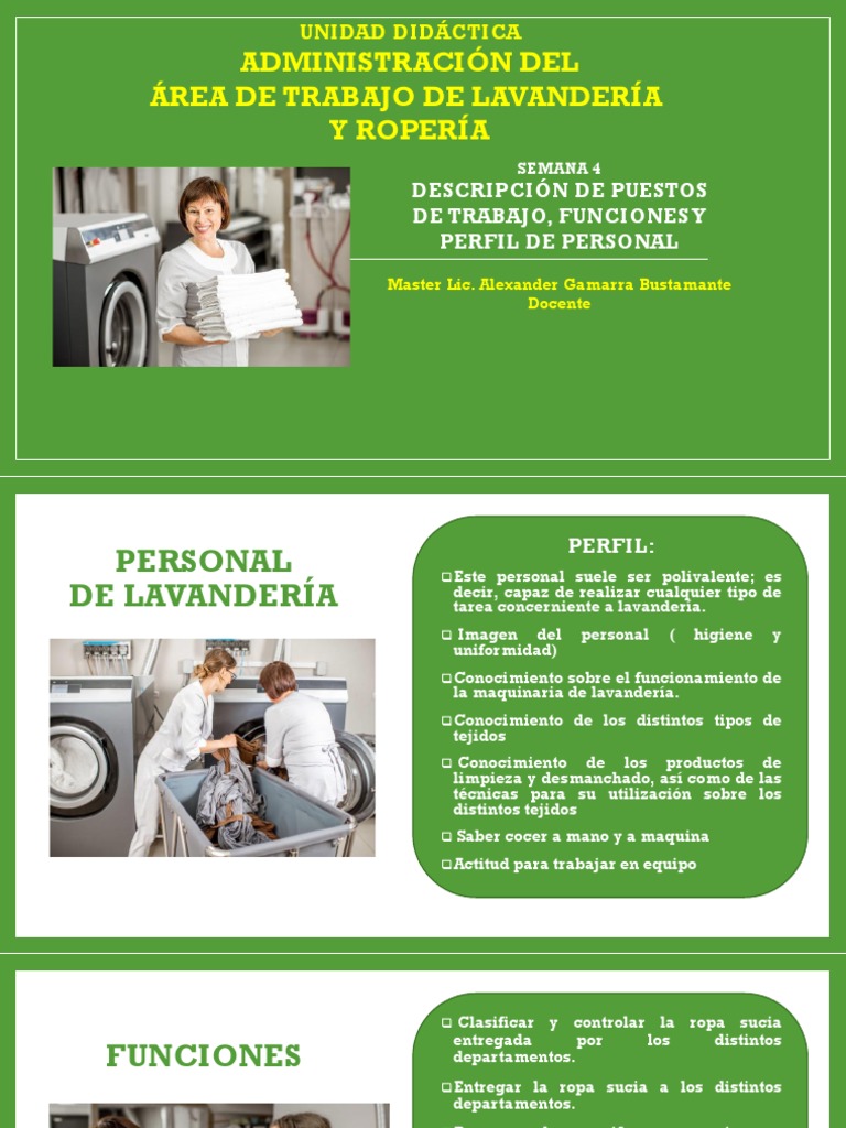 S4 Descripción de Puestos de Trabajo, Funciones y Perfil Del Personal ... S4 Descripción de Puestos de Trabajo, Funciones y Perfil Del Personal ...