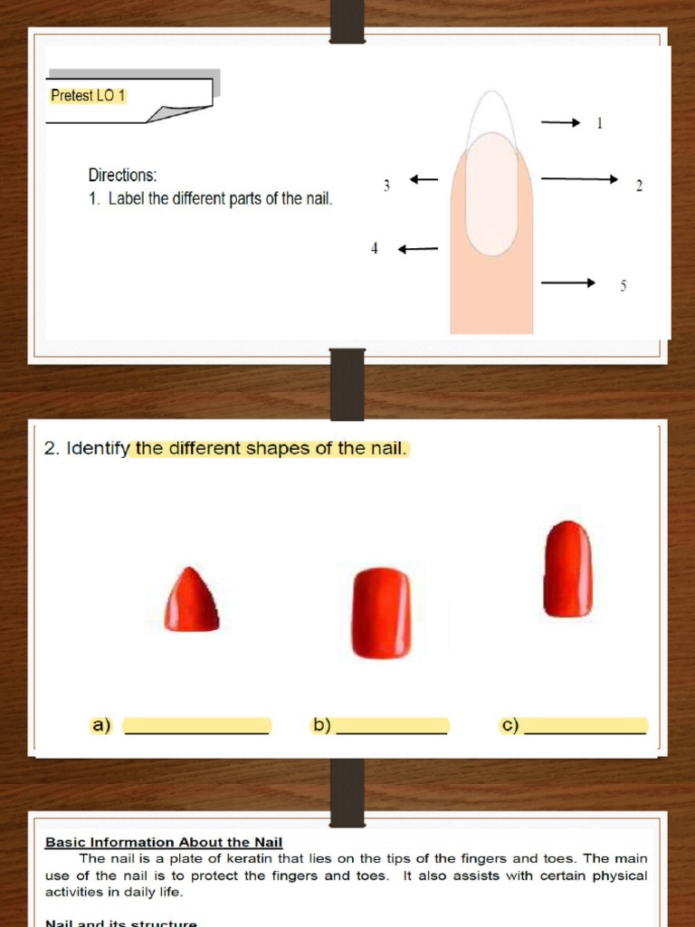 IDENTIFYING Nail Structure 7 SHAPES | PDF