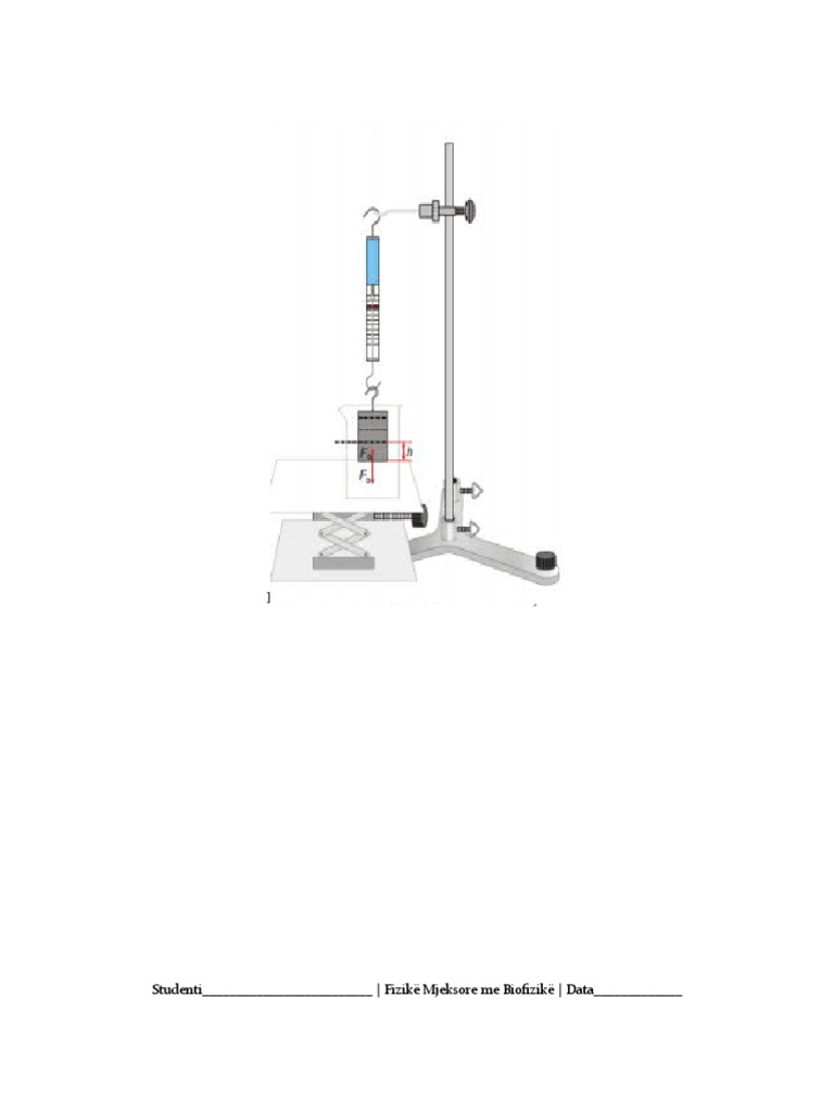 Parimi I Arkimedit | PDF