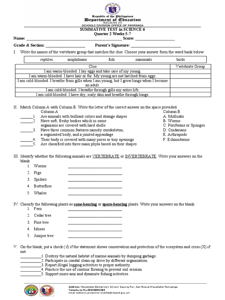 Grade 6 Science: Vertebrates Test Q2 | PDF