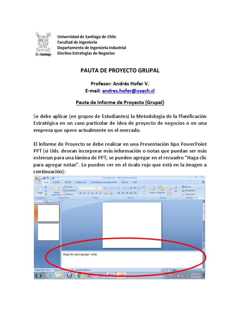 Pauta de Proyecto Grupal | PDF