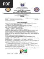 The Filipino Pyramid Activity Guide | PDF | Wellness