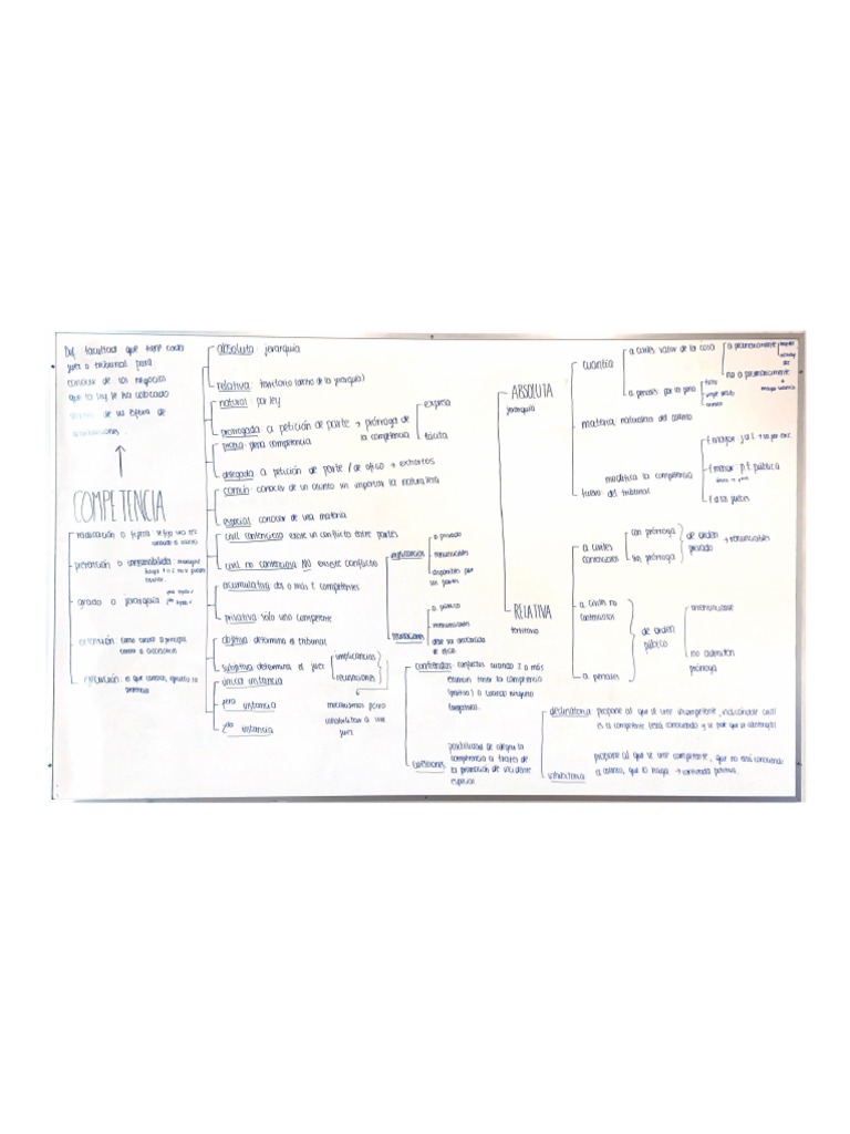 Competencia Absoluta | PDF