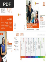 Caninos vs Felinos: Comparativa Esencial | PDF | Felidae | Canidae