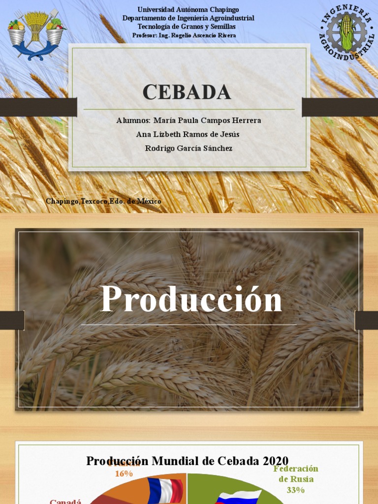 Cebada | PDF | Cereales | Cebada