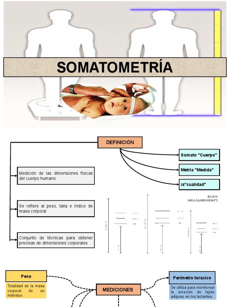 SOMATOMETRÍA | PDF | Obesidad | Índice de masa corporal