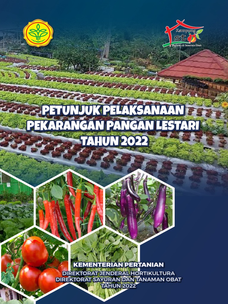 Petunjuk Pelaksanaan P2L 2022 | PDF