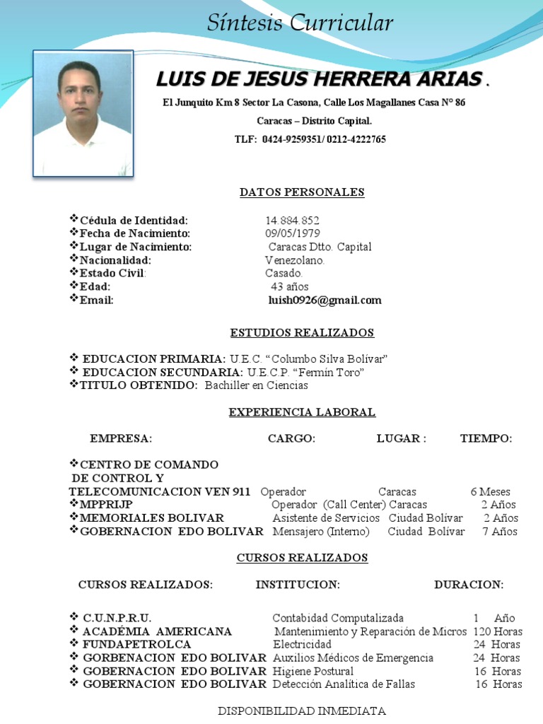 Curriculum Luis Herrera 1 | PDF