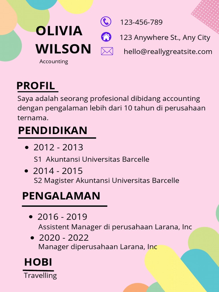 Contoh CV Profesional Akuntansi | PDF | Karier & Perkembangan ...