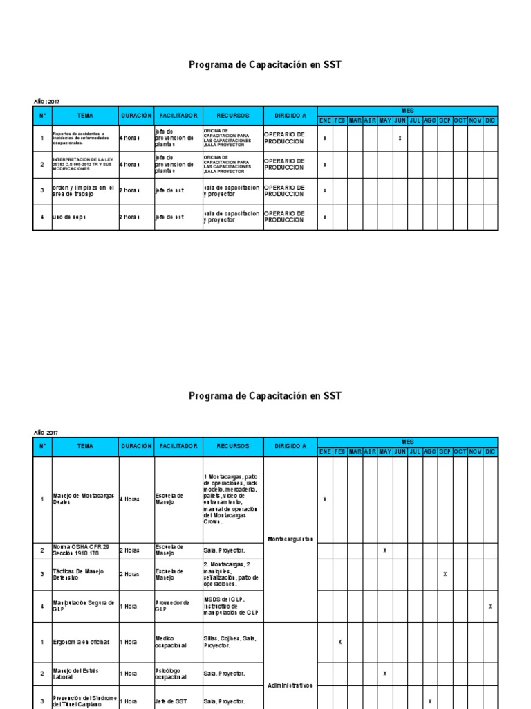 Programa Anual de Capacitación de SST | PDF | Seguridad y salud ocupacional | La seguridad