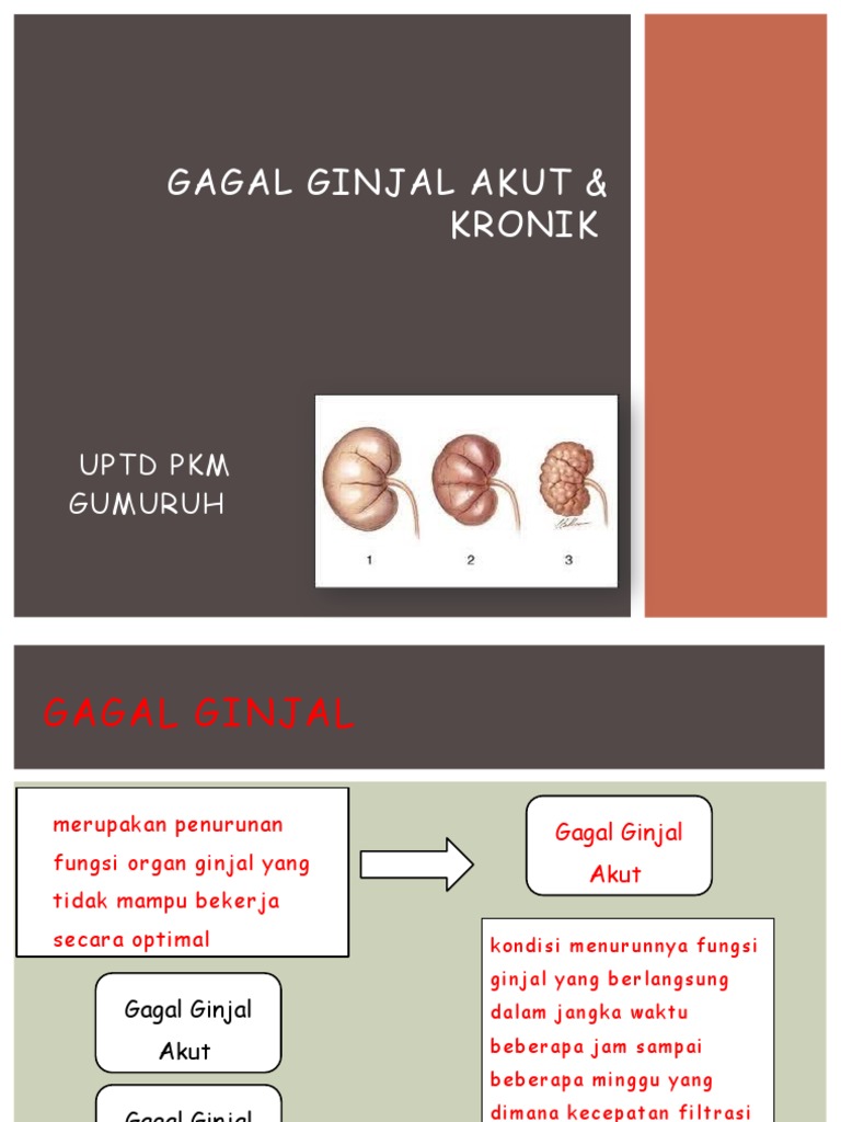 Jadi PPT Gagal Ginjal Akut Dan Kronis Ke | PDF