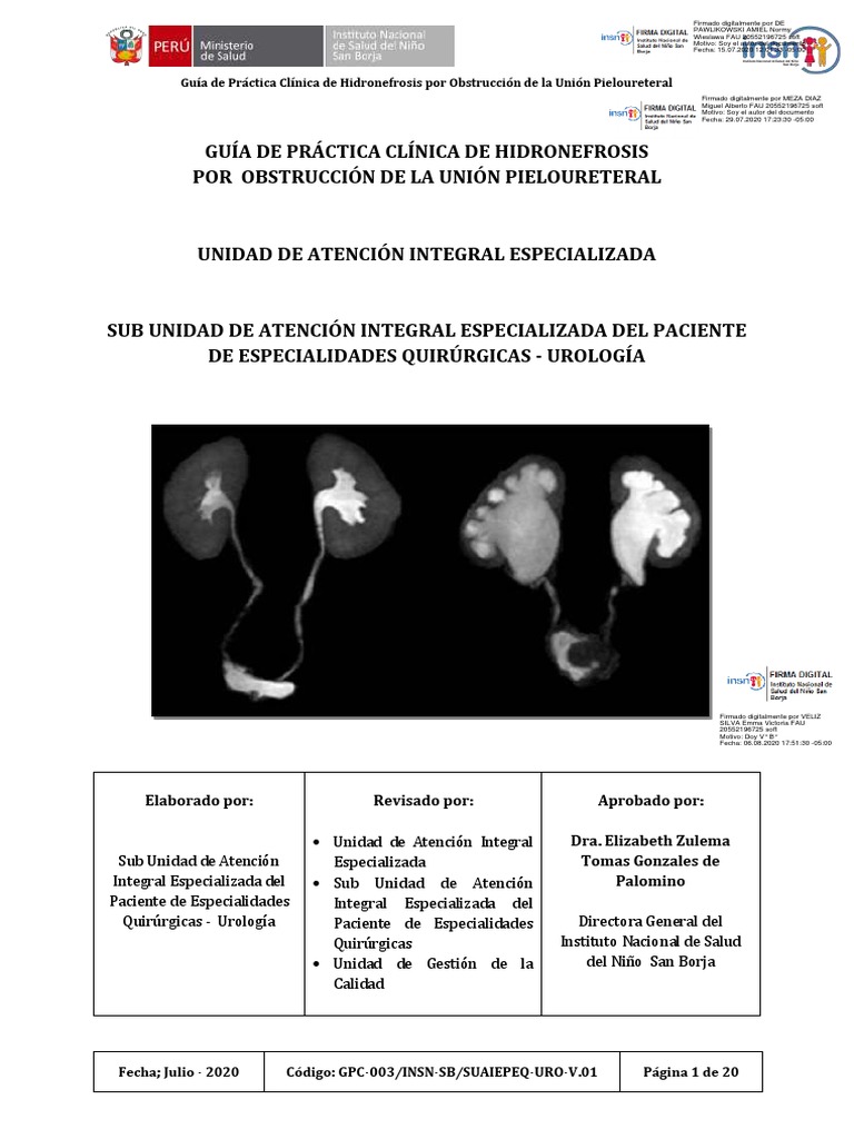 RD #000151-2020-Dg-Insnsb Uro - 3 - GPC Hidronefrosis - VF | PDF ...
