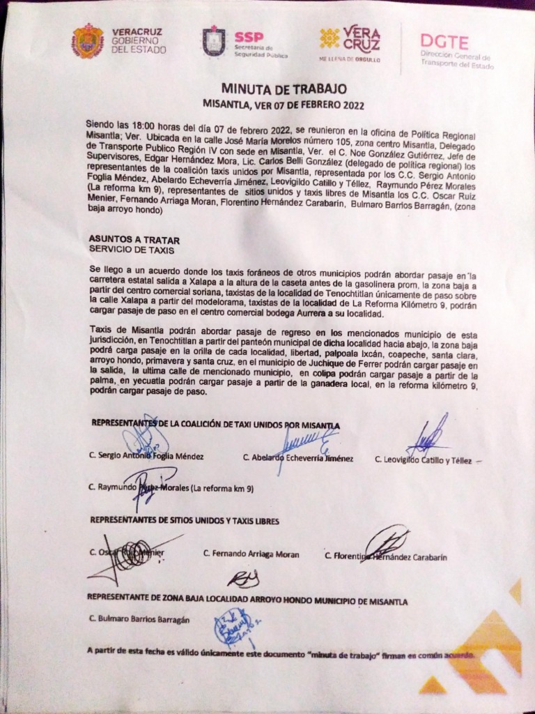 Minuta de Trabajo | PDF