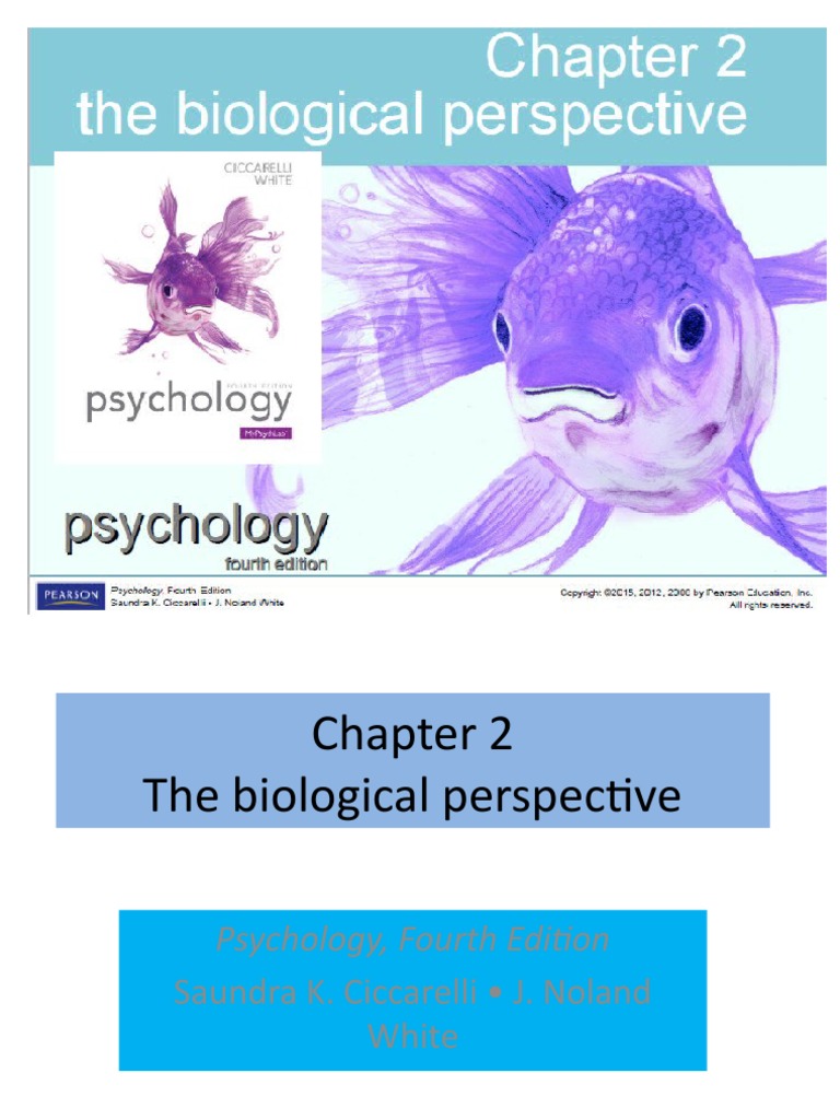 Chapter 2 The Biological Perspective | Download Free PDF | Neuron ...