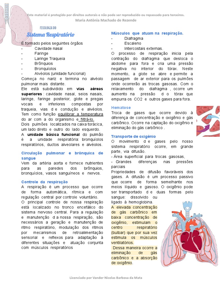 Fisiologia Do Sistema Respiratório | PDF | Sistema respiratório | Pulmão Fisiologia Do Sistema Respiratório | PDF | Sistema respiratório | Pulmão