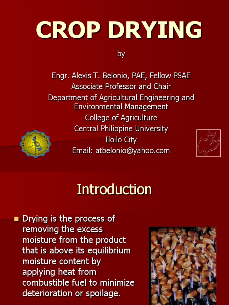 Crop Drying | PDF | Clothes Dryer | Humidity