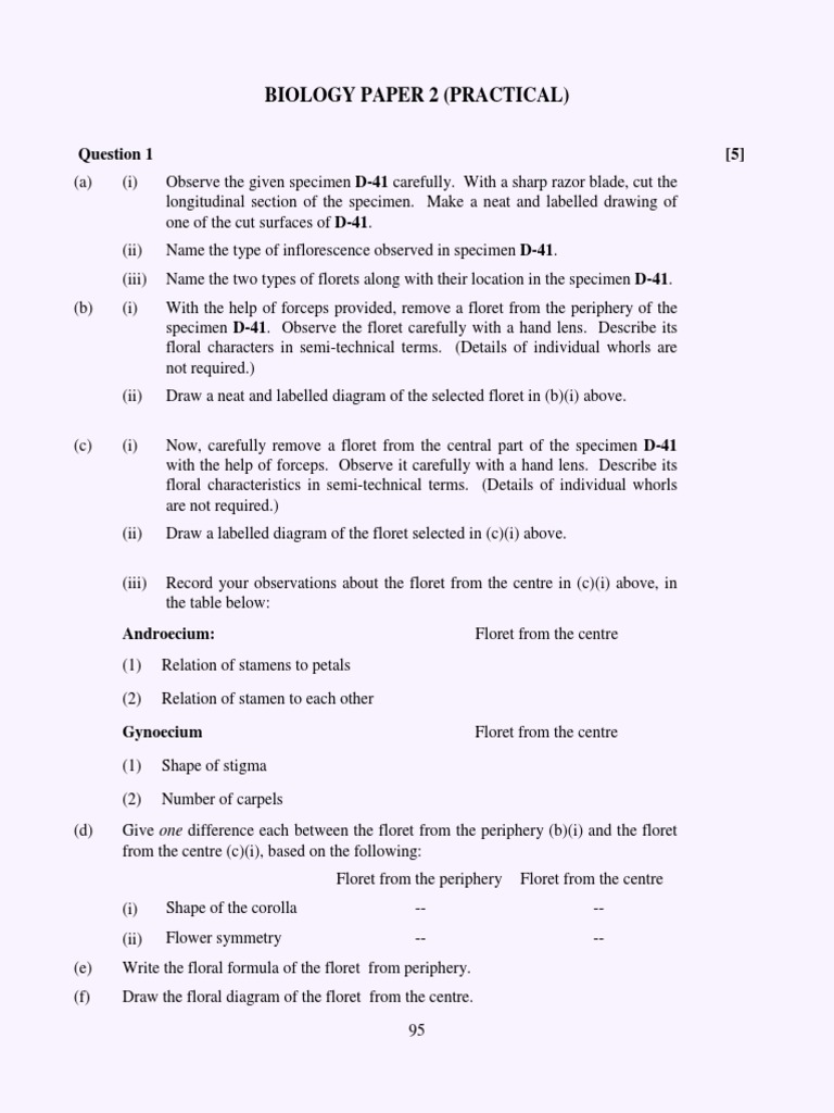 Biology - 2 | PDF | Petal | Plant Stem