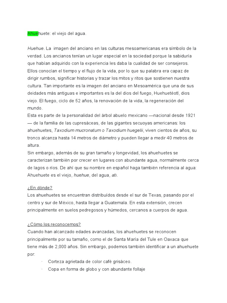 Ahuehuete | PDF | Botánica | Arboles