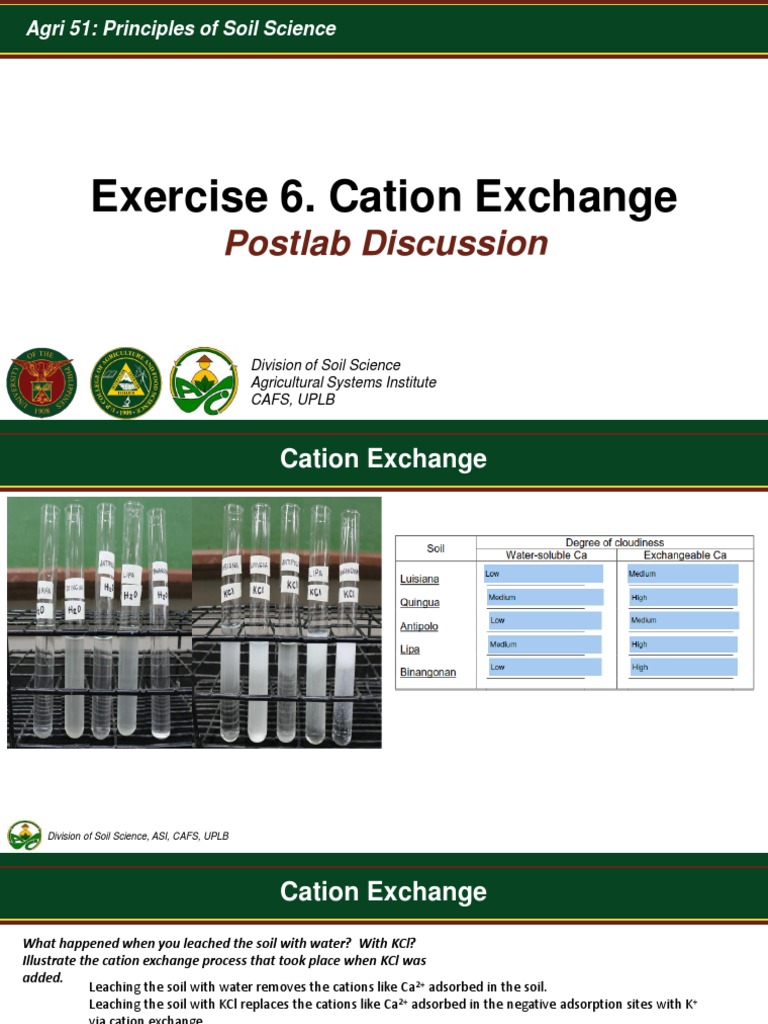 Exer 6 Postlab | PDF | Soil | Adsorption