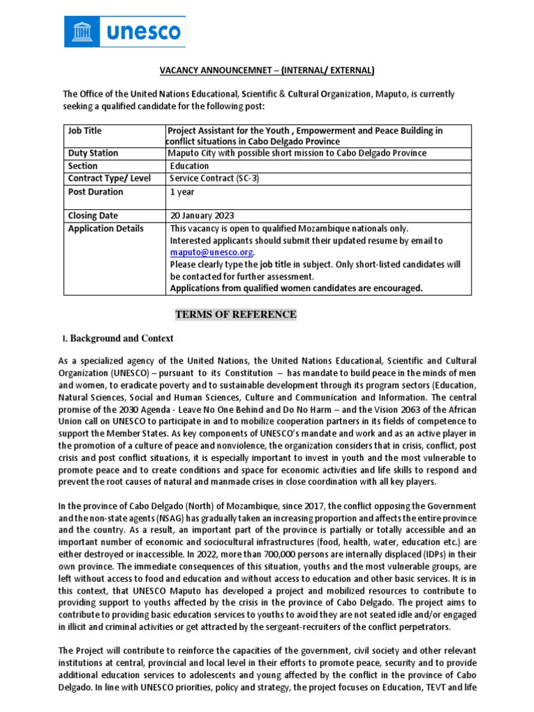 Terms of Reference | PDF | Internally Displaced Person | United Nations