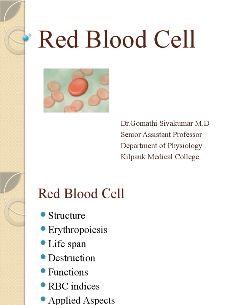 Red - Blood Cell | PDF | Red Blood Cell | Histology