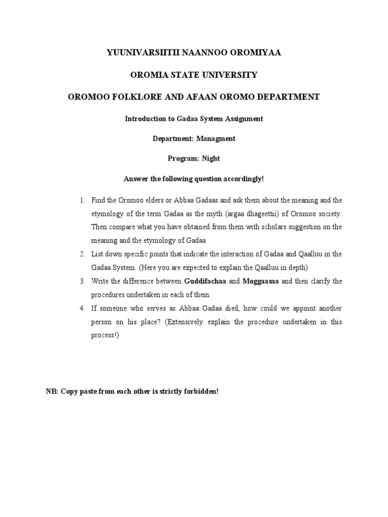 Gadaa System Assignment Overview | PDF
