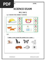 Admission Test Paper Grade 1 | PDF